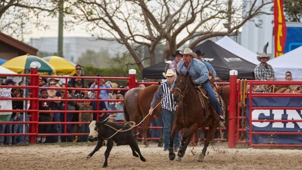 74th Annual Homestead Championship Rodeo Presented Editorial Stock ...