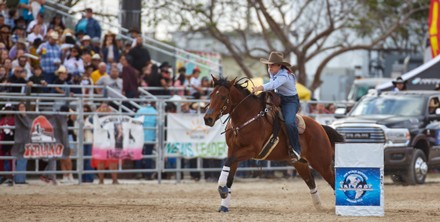 74th Annual Homestead Championship Rodeo Presented Editorial Stock ...