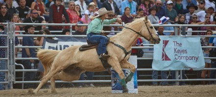 74th Annual Homestead Championship Rodeo Presented Editorial Stock ...
