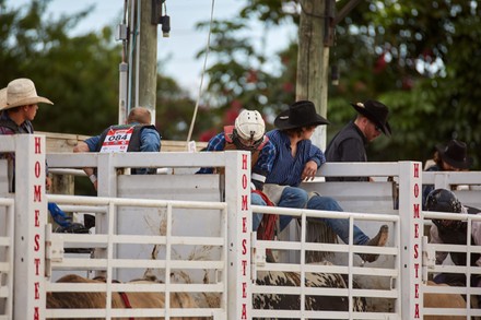 74th Annual Homestead Championship Rodeo Presented Editorial Stock ...