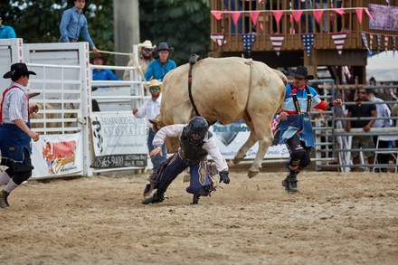 74th Annual Homestead Championship Rodeo Presented Editorial Stock ...
