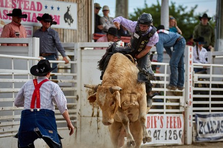 74th Annual Homestead Championship Rodeo Presented Editorial Stock ...