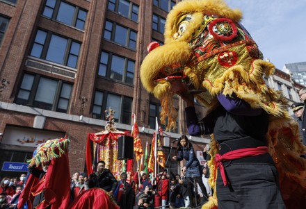 Dance Troupe Performs Lion Dance Honor Editorial Stock Photo - Stock ...