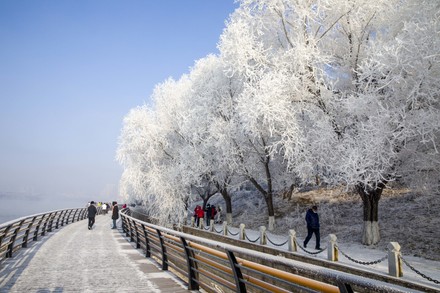 __COUNT__ Rime in Jiangbin Park, Jilin, China - 30 Jan 2023 Stock ...