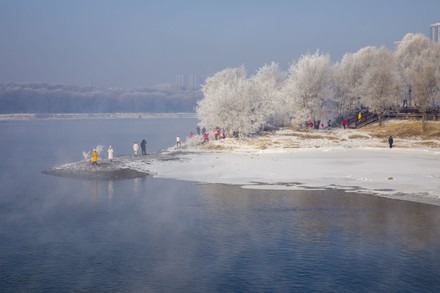 __COUNT__ Rime in Jiangbin Park, Jilin, China - 30 Jan 2023 Stock ...