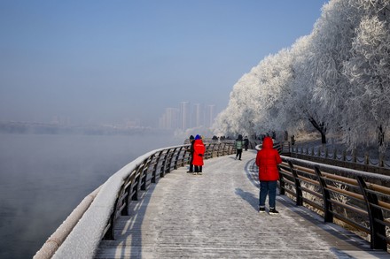 __COUNT__ Rime in Jiangbin Park, Jilin, China - 30 Jan 2023 Stock ...