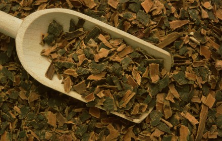 Tea Mallow Blossom Tea Wild Mallow Editorial Stock Photo - Stock Image ...