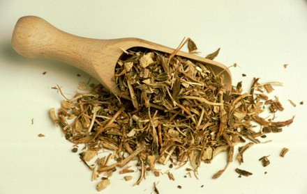 Medicinal Herbs Sarsaparilla Root Smilax Utilis Editorial Stock Photo ...