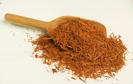 4 Campeachy tree Stock Pictures, Editorial Images and Stock Photos ...