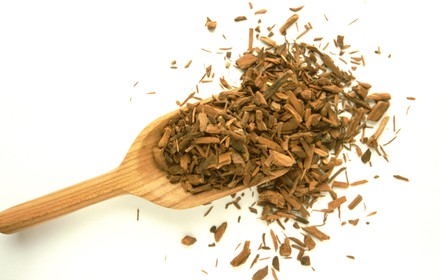 Natural Remedy Soap Bark Panama Bark Editorial Stock Photo - Stock ...