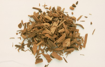Herbs Dried Pausinystalia Johimbe Corynanthe Johimbe Editorial Stock ...