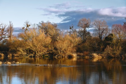 Late Autumn On Mulde River Near Editorial Stock Photo - Stock Image ...