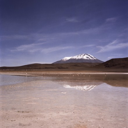Atacama Desert Bolivia Plateau Flamingo Lagoon Editorial Stock Photo ...
