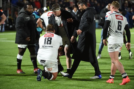 Bill Mata Edinburgh Rugby Number 8 Editorial Stock Photo - Stock Image ...