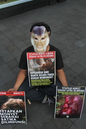 Activist Primates Fight Back Coalition Hold Editorial Stock Photo ...