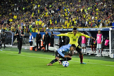 Colombian Fans Sing National Anthem During Editorial Stock Photo ...