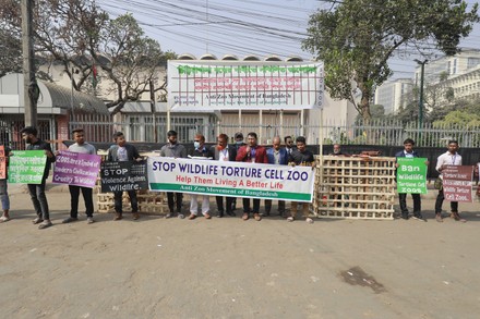 Antizoo Campaigners Stage Protest Near National Editorial Stock Photo ...