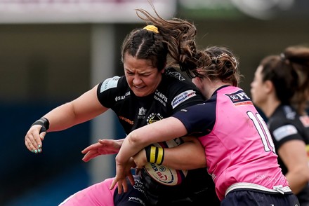 Gabby Cantorna Exeter Chiefs Celebrates Teammates Editorial Stock Photo ...