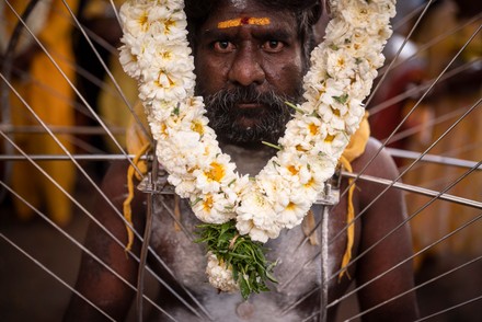 Hindu Devotee Carries Kavadi Lit Physical Editorial Stock Photo - Stock ...