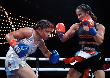 Puerto Ricos Amanda Serrano R Lands Editorial Stock Photo - Stock Image ...
