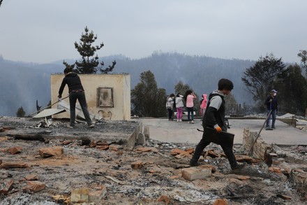 Residents Clear Debris After Forest Fire Editorial Stock Photo - Stock ...