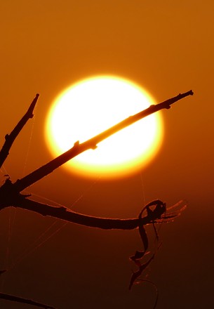 Days Sun Rises On Cold Morning Editorial Stock Photo - Stock Image ...