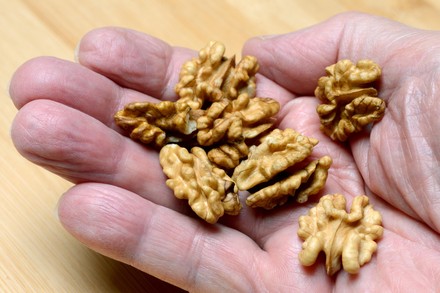 Handful Persian Walnuts Juglans Regia Editorial Stock Photo - Stock ...