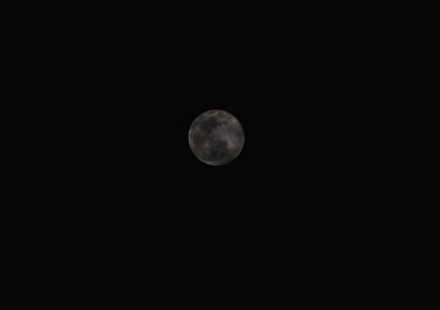 Full Snow Moon Rises Behind Leafless Editorial Stock Photo - Stock ...