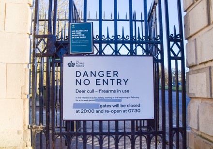 Official Deer Cull Information Sign Seen Editorial Stock Photo - Stock ...