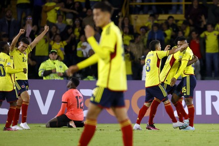 Colombia Players Celebrate Own Goal Ecuador Editorial Stock Photo ...