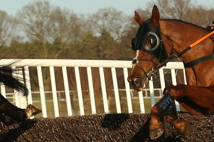 Horse Wearing Blinkers Jumps Fence During Editorial Stock Photo - Stock ...