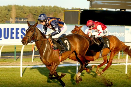 Dysart Enos 3 Ridden By Paddy Editorial Stock Photo - Stock Image ...