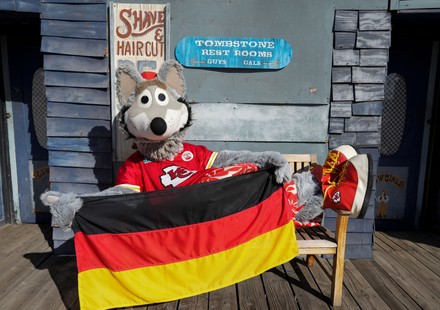 Kc Wolf Kansas City Chiefs Mascot Editorial Stock Photo - Stock Image ...