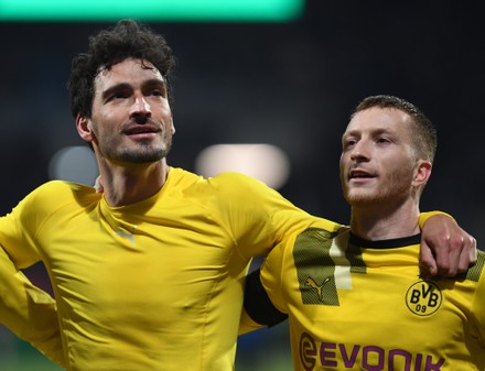 Bochum Germany 080223 Marco Reus Borussia Editorial Stock Photo - Stock Image | Shutterstock