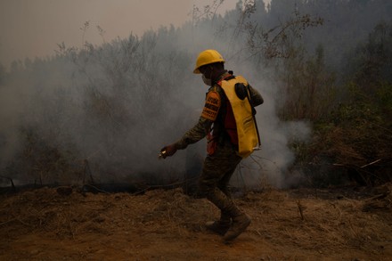750 Army fire service Stock Pictures, Editorial Images and Stock Photos ...