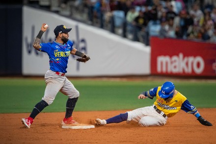 Ali Castillo L Venezuelas Leones Del Editorial Stock Photo - Stock ...