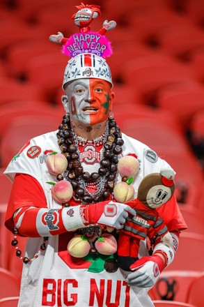 Ohio State Superfan Big Nut Prior Editorial Stock Photo - Stock Image ...