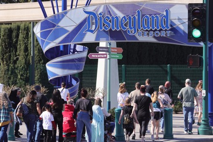 750 Disney walk in Stock Pictures, Editorial Images and Stock Photos ...