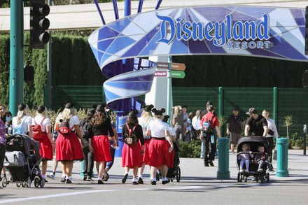 750 Disney walk in Stock Pictures, Editorial Images and Stock Photos ...