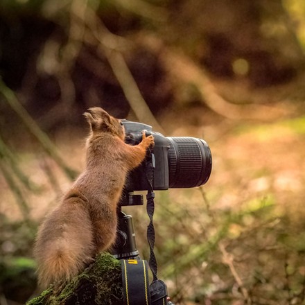 250,000 Camera Stock Pictures, Editorial Images and Stock Photos ...