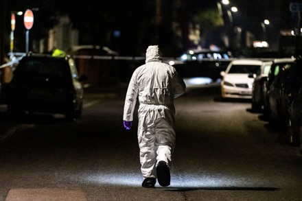 __COUNT__ A murder investigation is under way following a shooting in ...