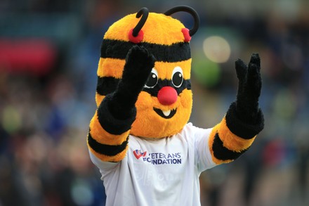Burnley Fc Mascot Bertie Bee Editorial Stock Photo - Stock Image ...