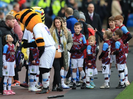 Burnley Fc Mascot Bertie Bee Editorial Stock Photo - Stock Image ...