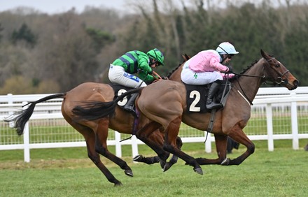 newbury races Stock Photos (Exclusive) | Shutterstock