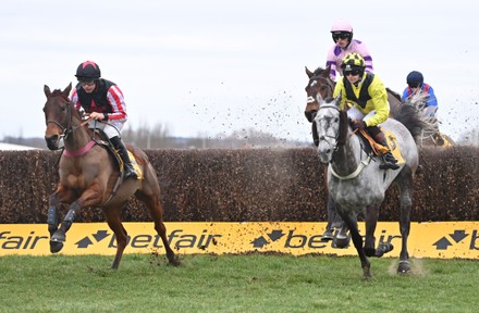 newbury races Stock Photos (Exclusive) | Shutterstock
