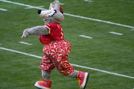 Kansas City Chiefs Mascot Kc Wolf Editorial Stock Photo - Stock Image ...