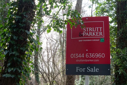 Strutt Parker Sale Sign Two Acre Editorial Stock Photo - Stock Image ...