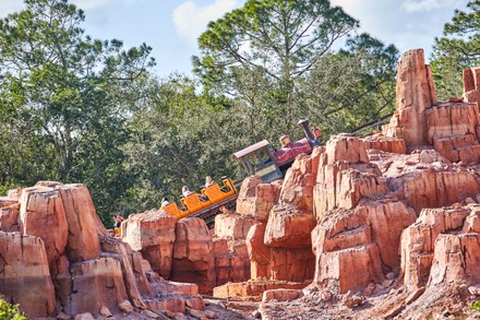 750 Disney walk in Stock Pictures, Editorial Images and Stock Photos ...