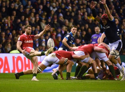 Richie Gray Scotland Lock Takes On Editorial Stock Photo - Stock Image ...