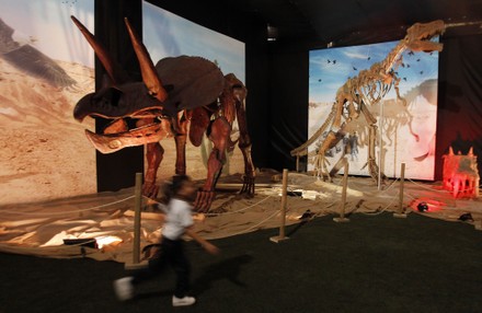 Children Visit Animatronic Exhibition Featuring Fantastic Editorial ...